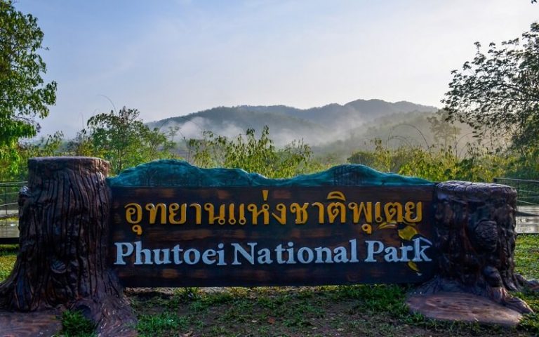 Long Ride to the Horror of Lauda Air Flight 004 Plane Crash Site in ...