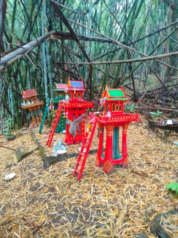 Long Ride to the Horror of Lauda Air Flight 004 Plane Crash Site in ...