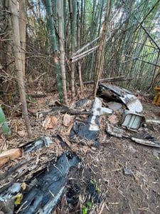 The Tragic Crash of Lauda Air Flight 004: Key Facts and Circumstances