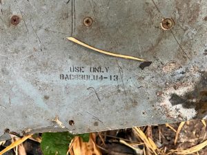 The Tragic Crash of Lauda Air Flight 004: Key Facts and Circumstances