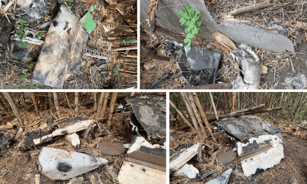 The Tragic Crash of Lauda Air Flight 004: Key Facts and Circumstances