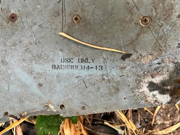The Tragic Crash of Lauda Air Flight 004: Key Facts and Circumstances