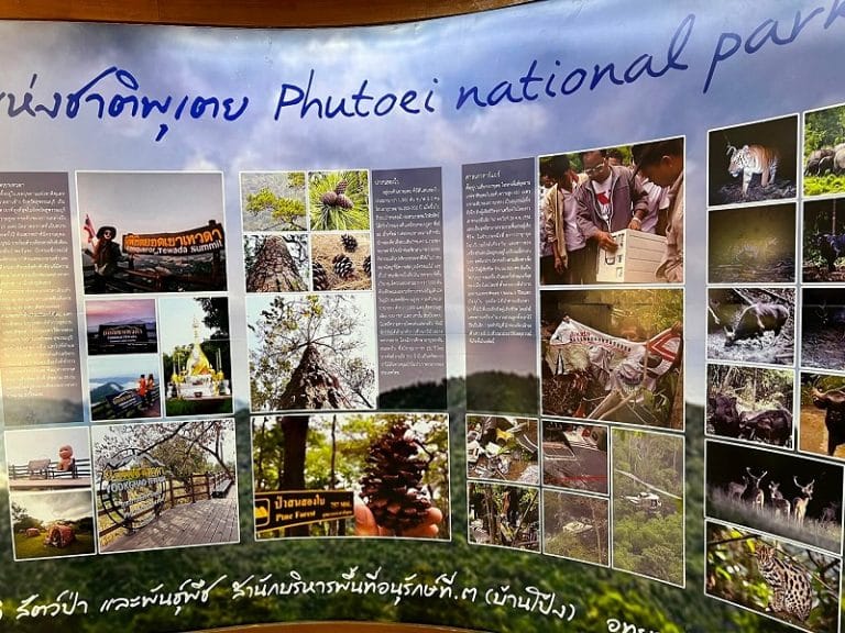 The Tragic Crash of Lauda Air Flight 004: Key Facts and Circumstances